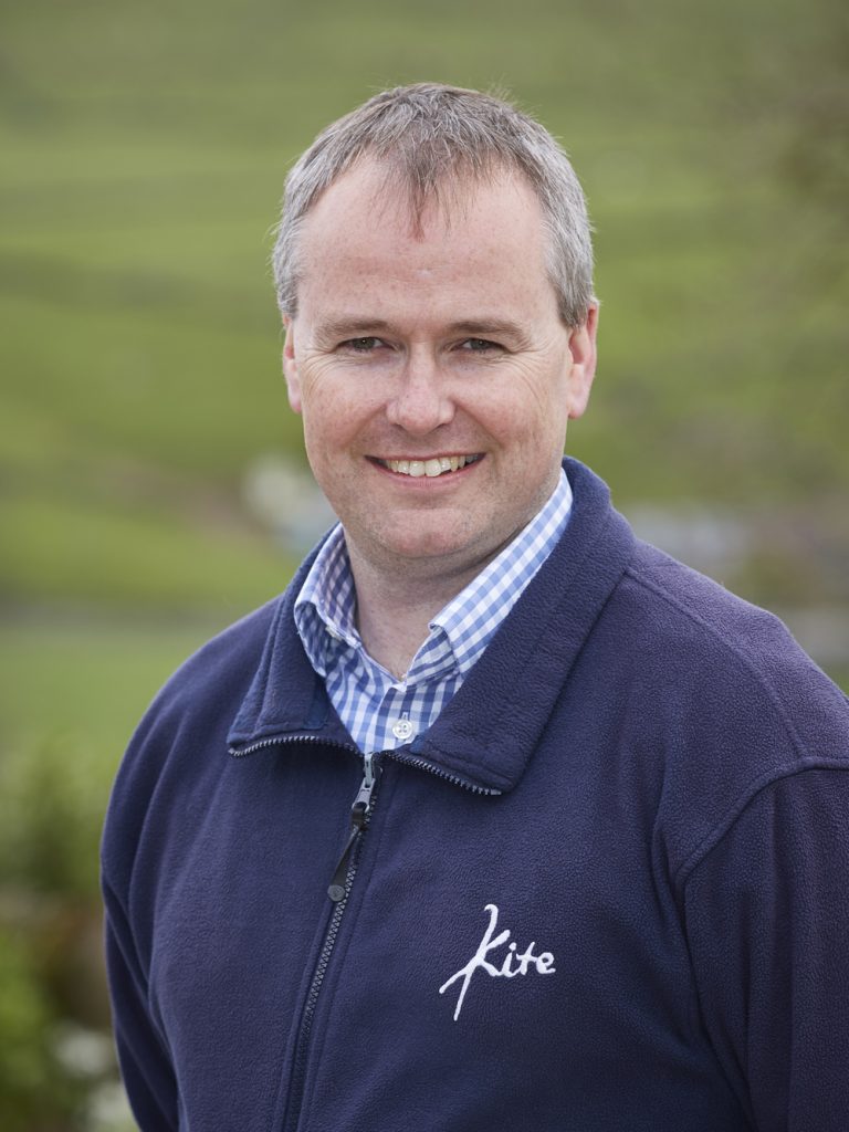 Consultants - Kite Consulting