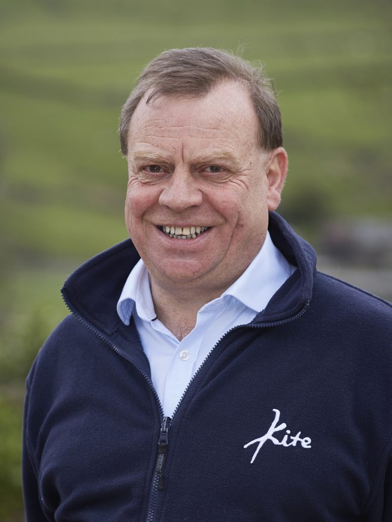 Consultants - Kite Consulting