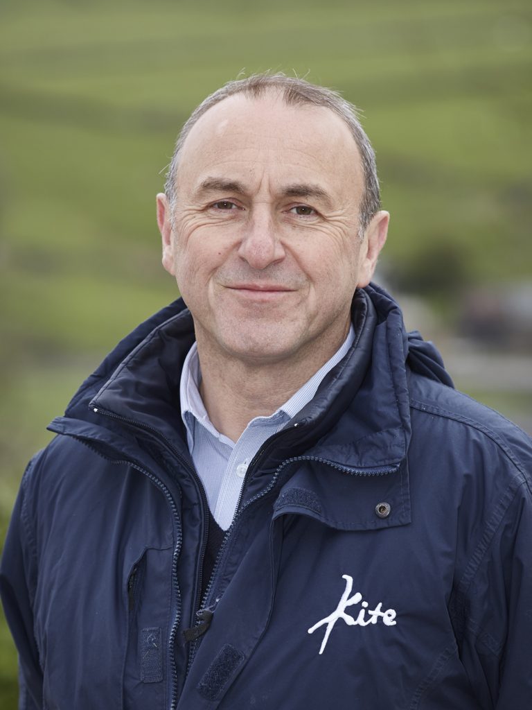 Consultants - Kite Consulting