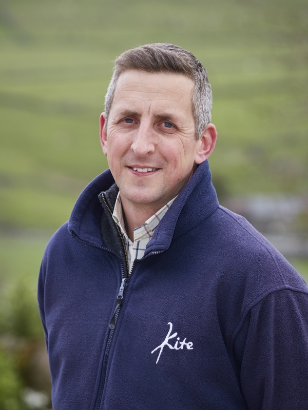 Consultants - Kite Consulting