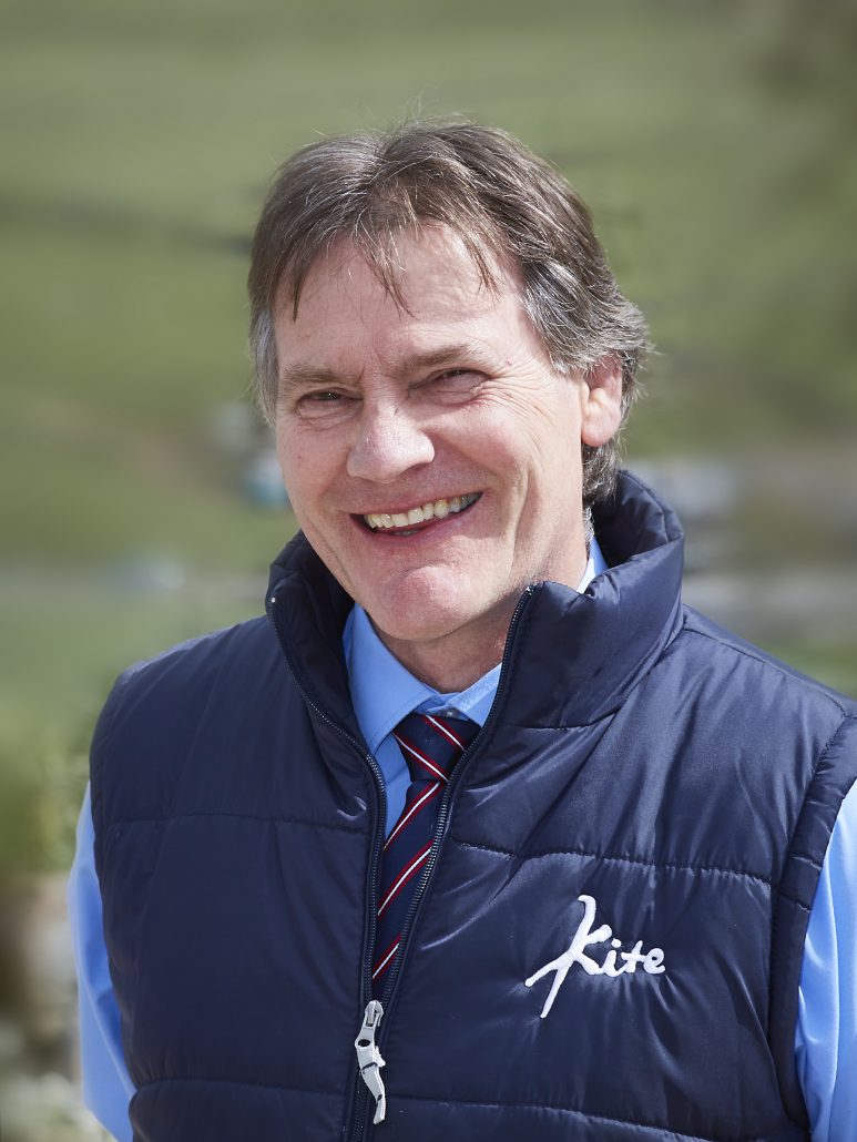 Consultants - Kite Consulting