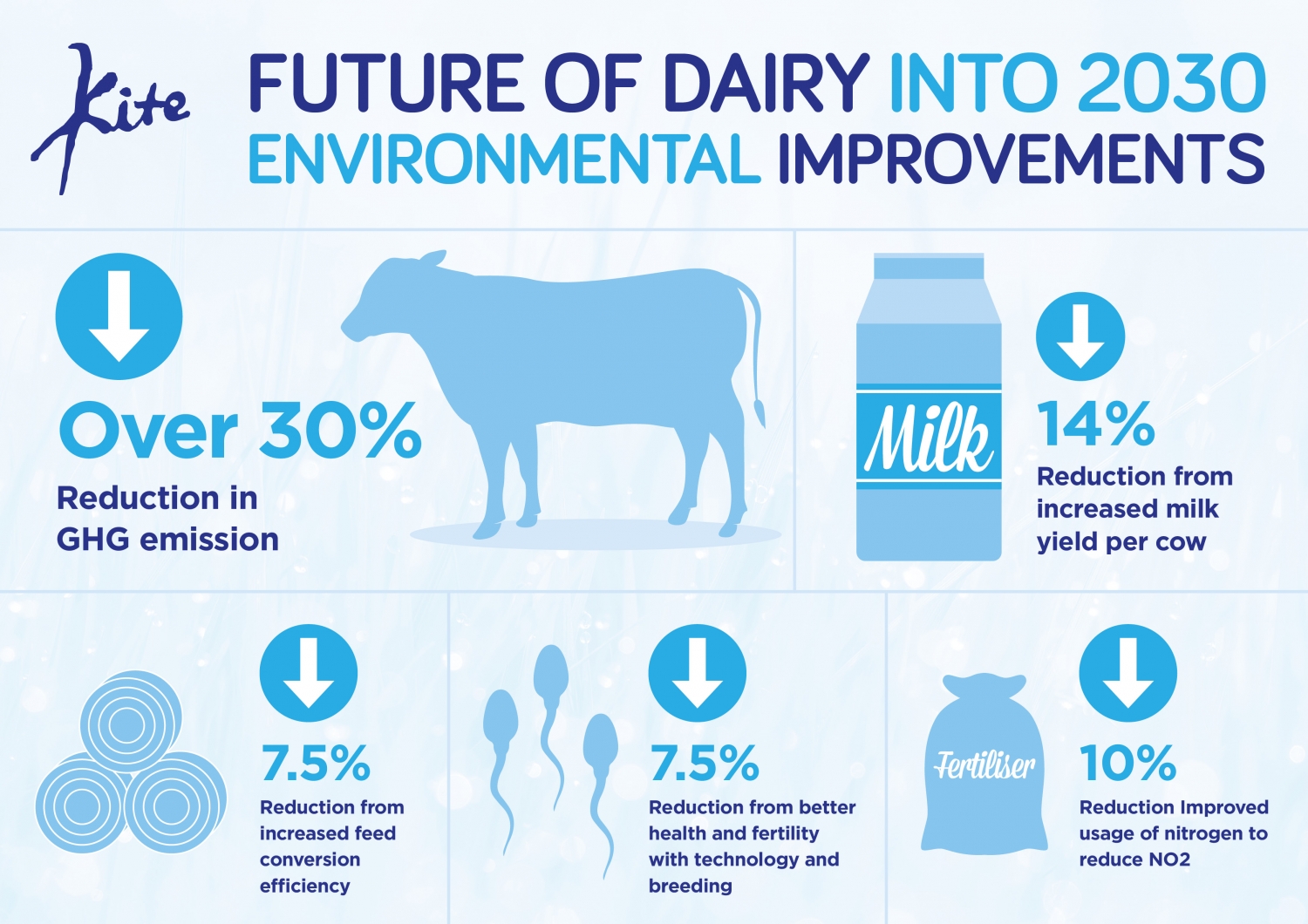 Vision for Dairy 2030 - Kite Consulting