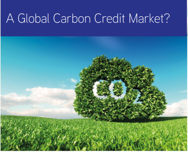 A Global Carbon Credit Market? - Kite Consulting