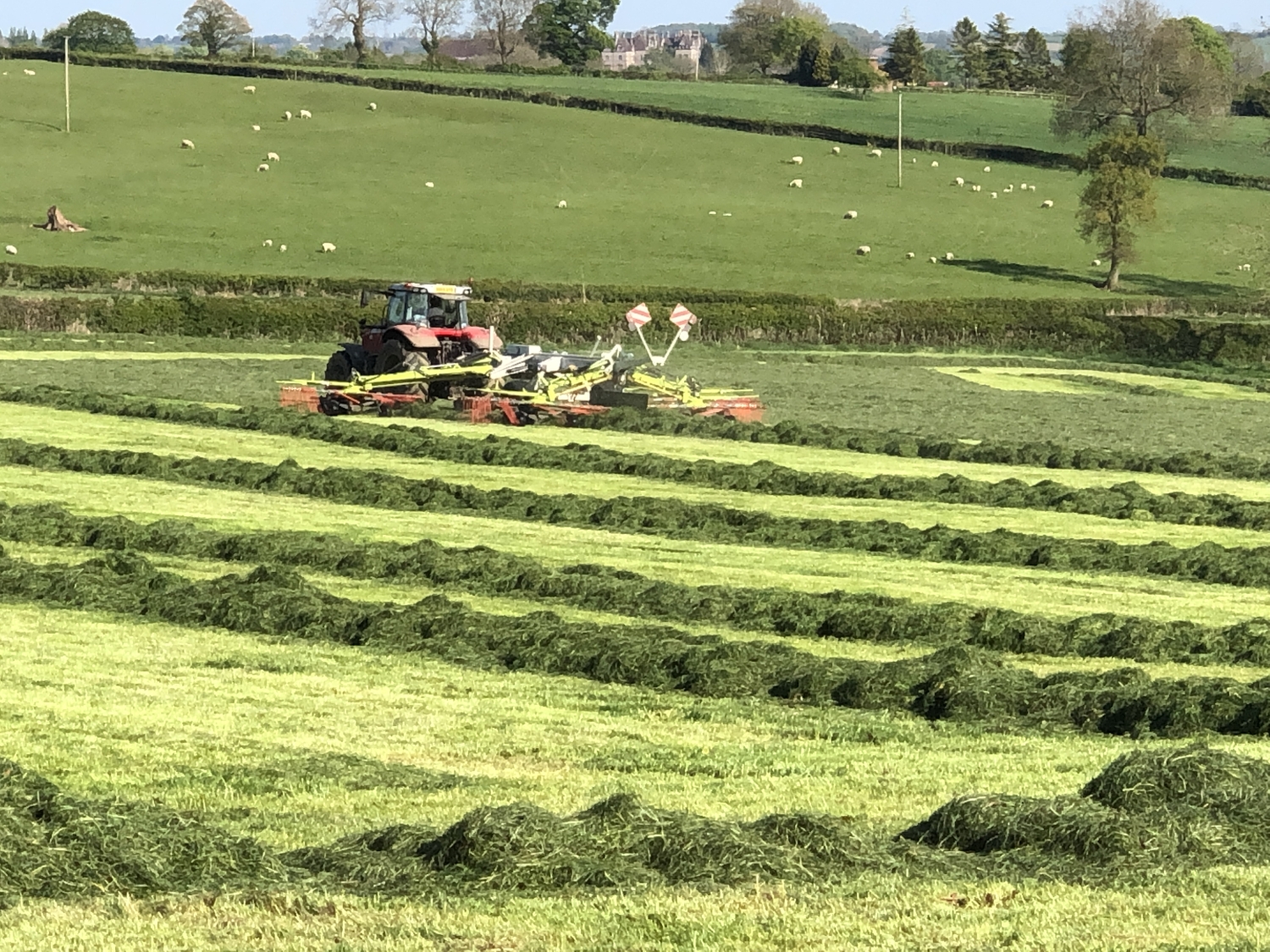 NEWS: With good grass silage value rising to £60 a tonne (and maybe ...