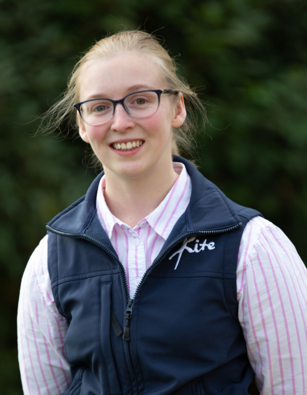 Consultants - Kite Consulting