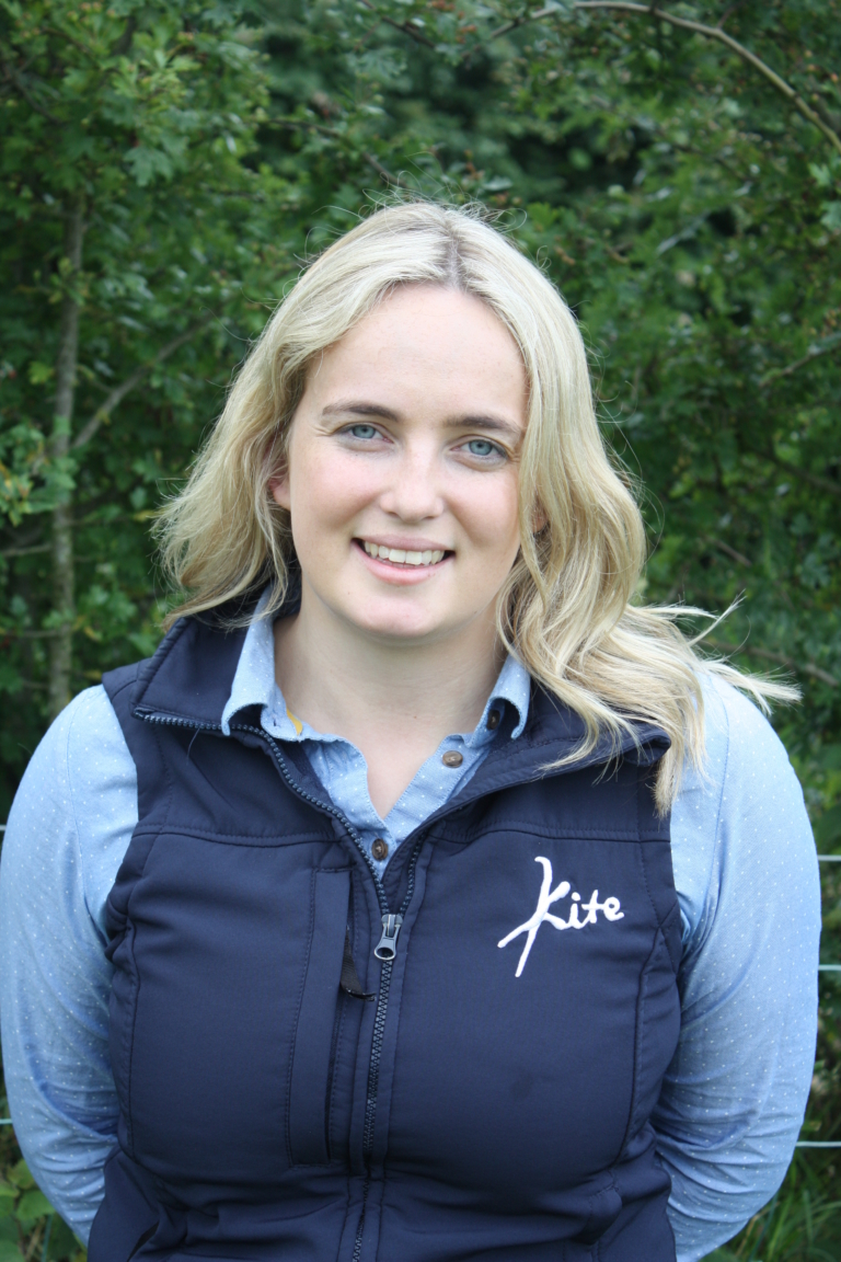 Consultants - Kite Consulting