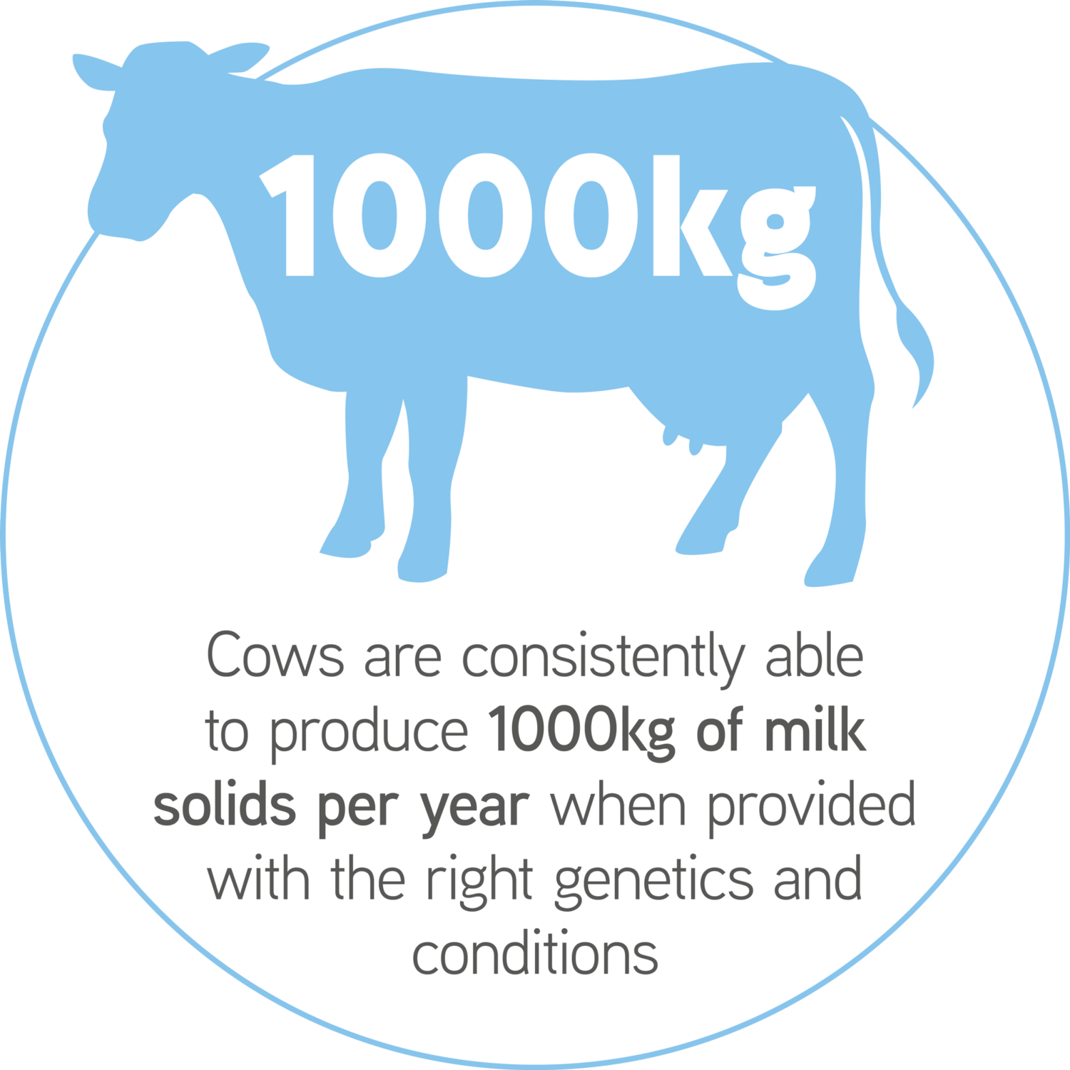 Efficiently Achieving 1000KG - Kite Consulting